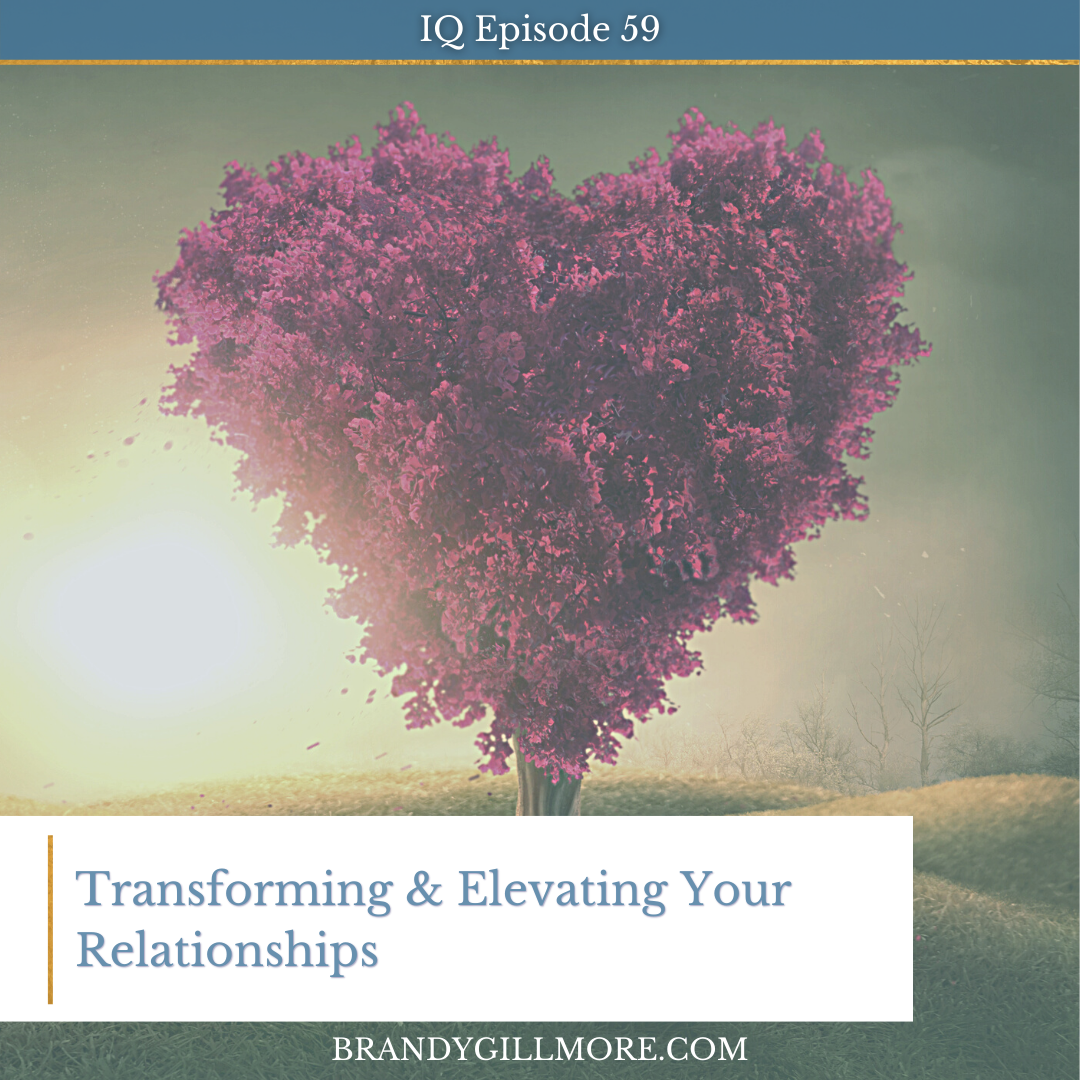 IQ 59: Transforming & Elevating Your Relationships For More Love & Harmony